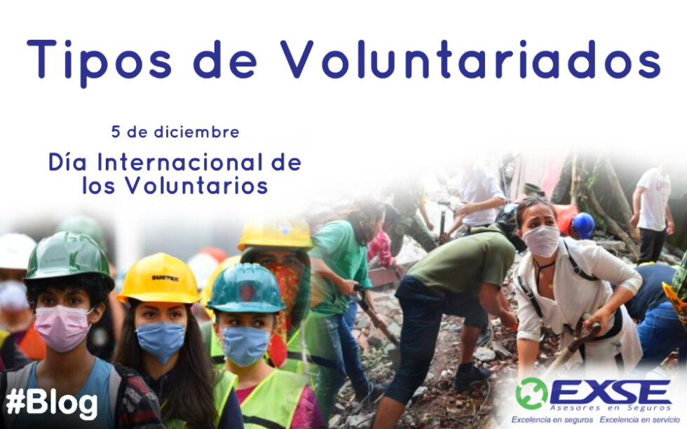 Día internacional de los voluntarios | Exse