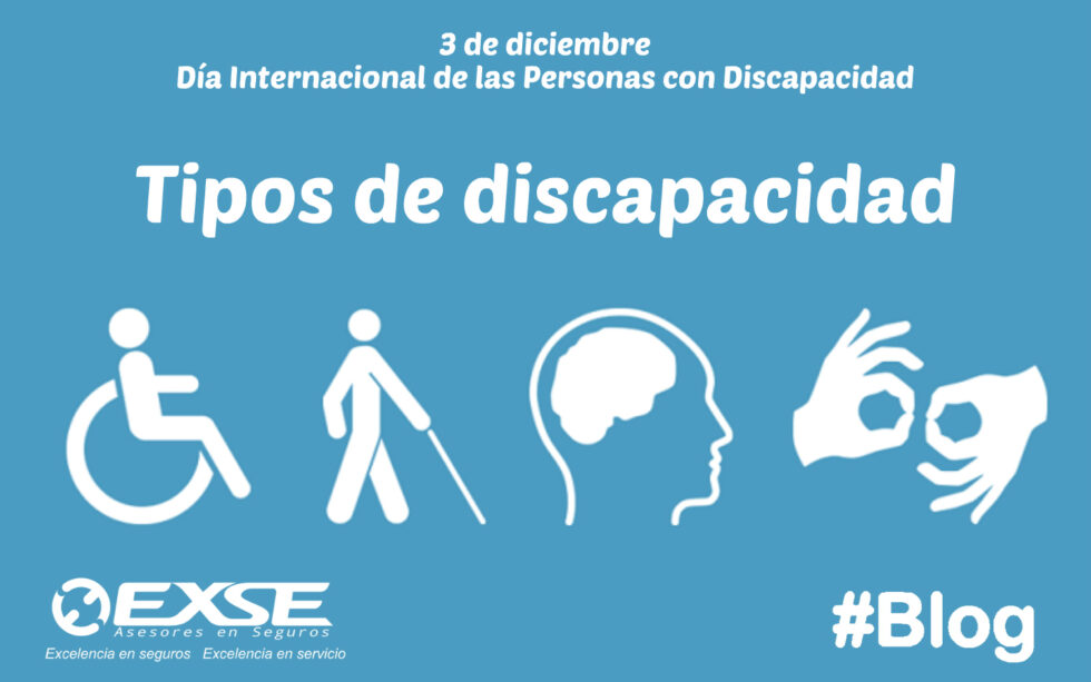 Diferentes tipos de discapacidad | Exse Diferentes tipos de discapacidad | Exse